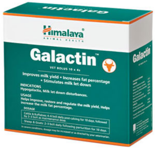 Himalaya Galactin Vet - AyurvedaForAll UK - Buy Ayurvedic Medicines Online